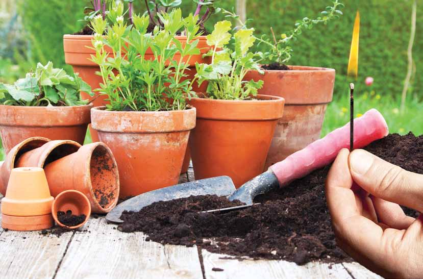 Flower Pots & Fire Risk - Canadian Condominium Institute - North ...